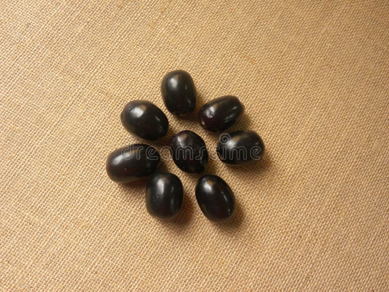 Java plum seed stock photo. Image of nature, isolated - 188176472