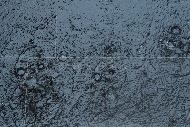 Black color water drop stock photo. Image of morning - 203585082