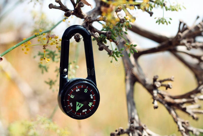 A Compass on a Map, Showing Directions and Orientation. Generative Ai ...