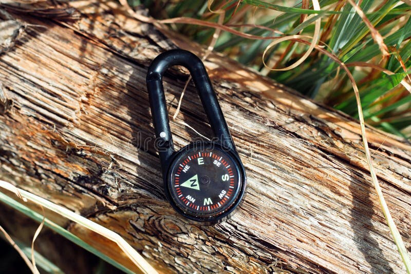 Black Compass Showing the Direction in the Forest Stock Image - Image ...