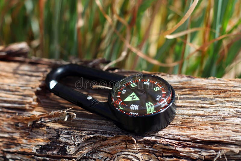 Black Compass Showing the Direction in the Forest Stock Photo - Image ...