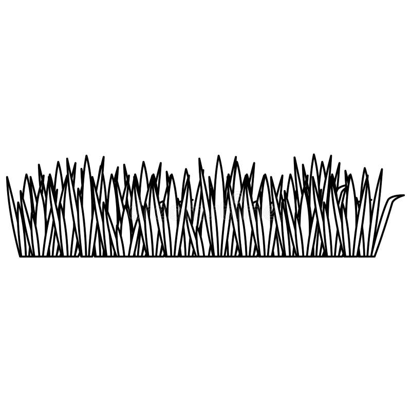 Contour Grass Isolated on White Background. Isometric View Stock Vector ...