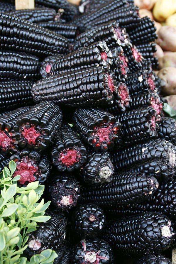 Black corn stock photo. Image of funny, phallic, phallus - 33019018