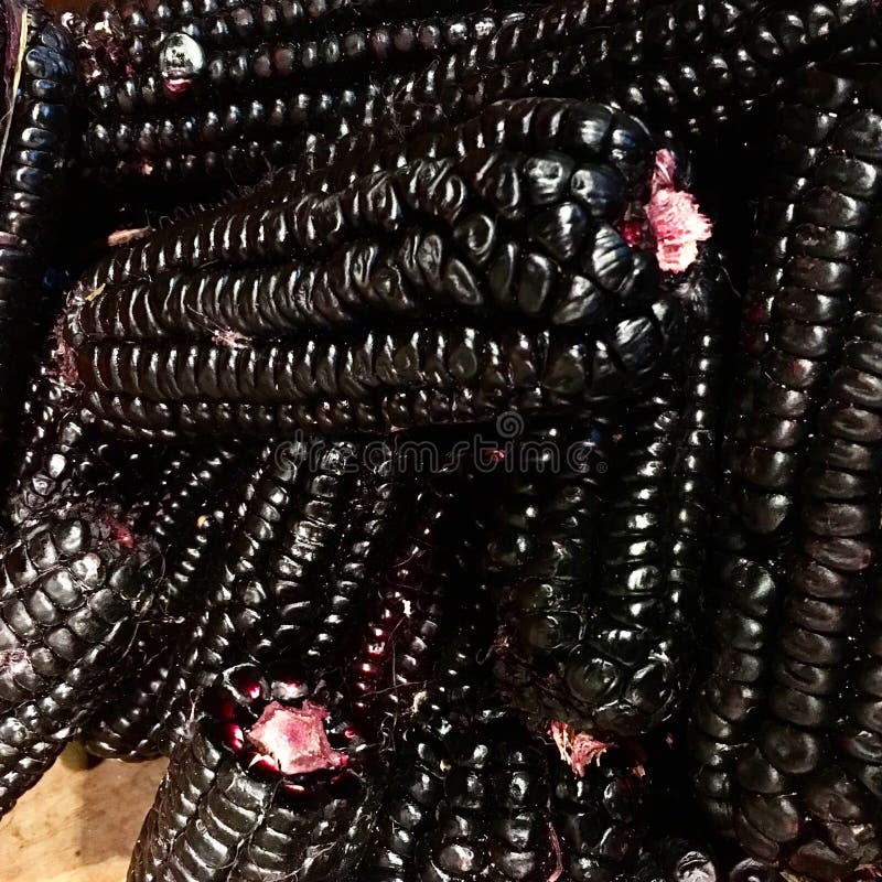 Black corn stock photo. Image of funny, phallic, phallus - 33019018