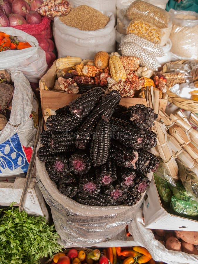 Black Corn stock image. Image of yellow, purple, agriculture - 62952201