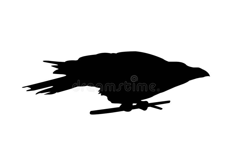 Corvus silhouette stock illustration. Illustration of symbol - 114930378