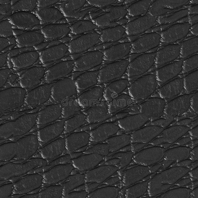 870 Crocodile Seamless Texture Photos - Free & Royalty-Free Stock ...