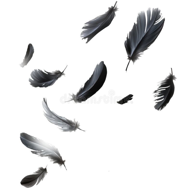 Black Down Feathers Stock Illustrations – 704 Black Down Feathers Stock Illustrations, Vectors ...
