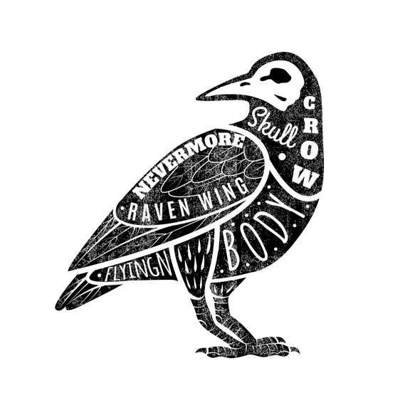 Black crow stock vector. Illustration of creative, drawn - 56274478