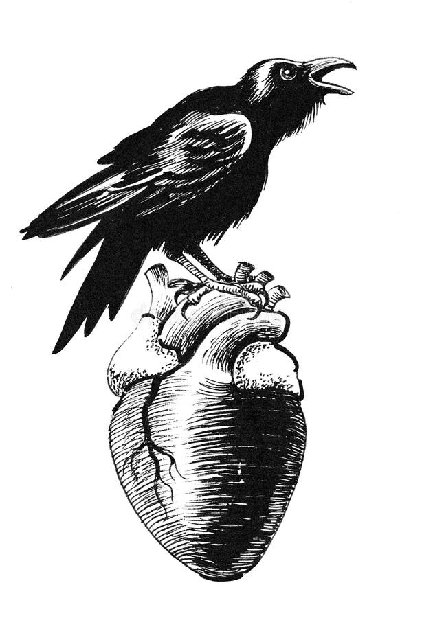 Raven and heart stock illustration. Illustration of banner - 99333642