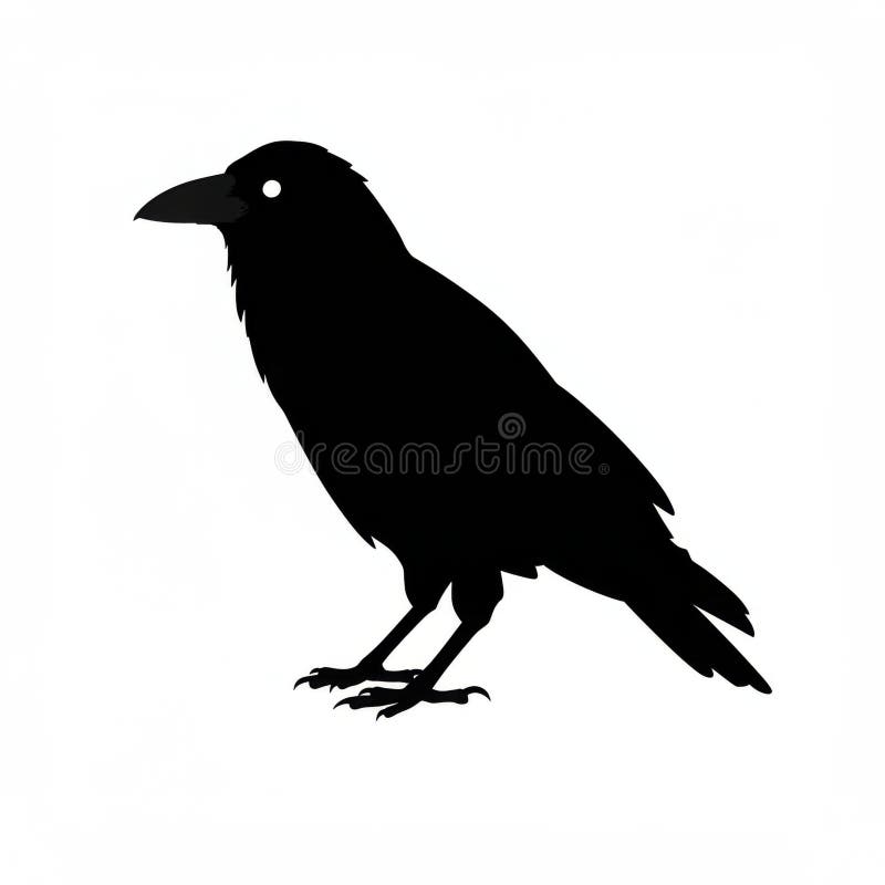 Black Crow Silhouette on White Background Stock Illustration ...