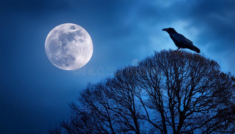 Black Crow on Tree with Full Moon Stock Illustration - Illustration of ...