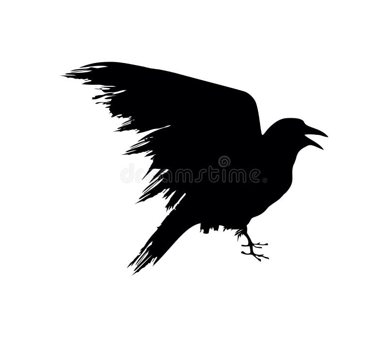 Crow sign stock vector. Illustration of design, bird - 61037287