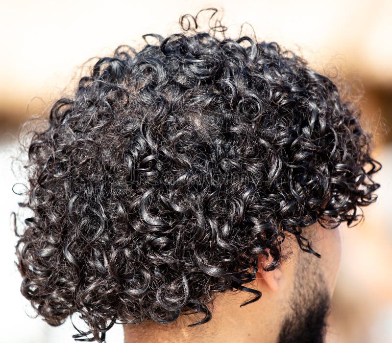 Black Curly Hair on the Head of a Man. Stock Photo - Image of funk ...