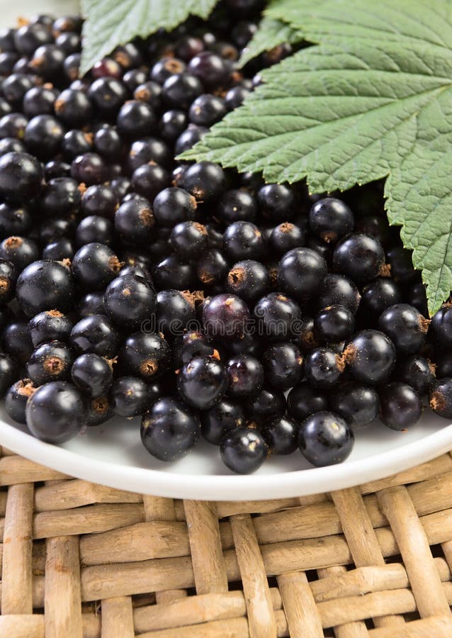 Black currant stock image. Image of violet, currants - 20455323