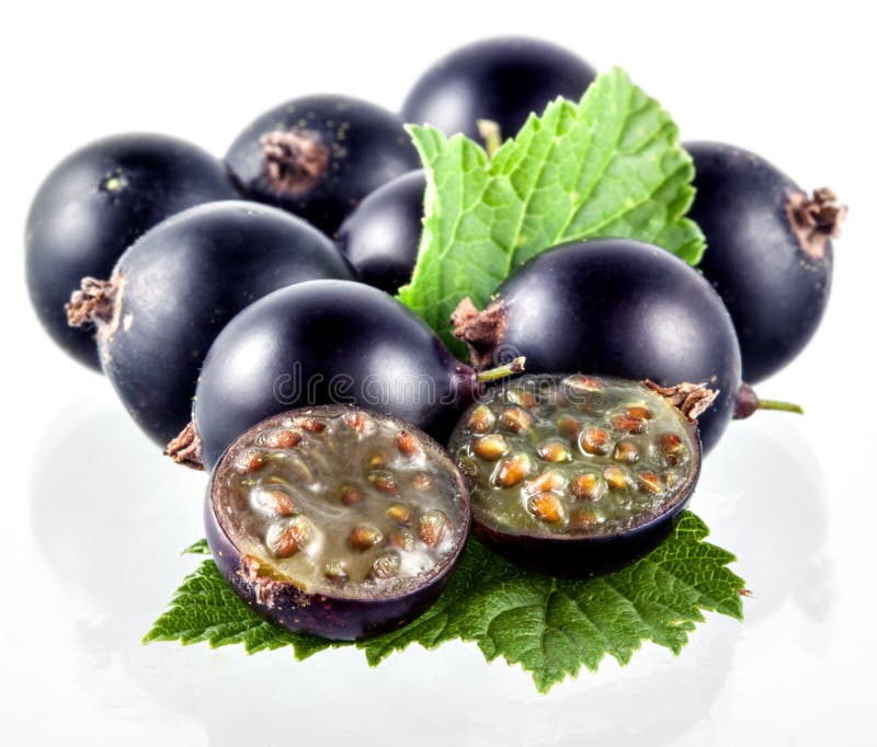 Black Currant. Berries With A Half Stock Photo - Image of diet, food ...