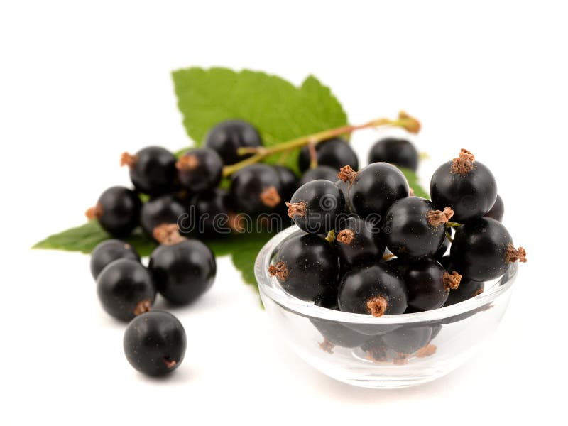 Black Currant Berries with Leaves in Glass Bowl. Stock Photo - Image of ...
