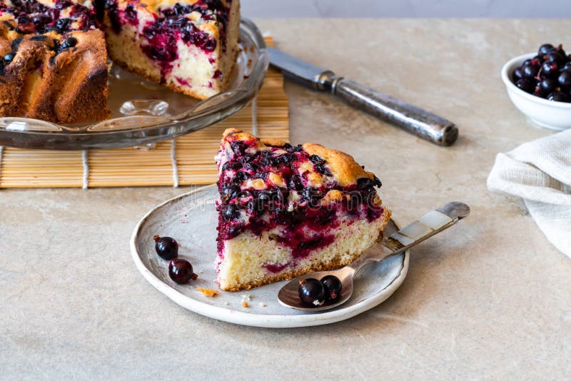 Black currant drizzle cake stock photo. Image of berry - 225922558