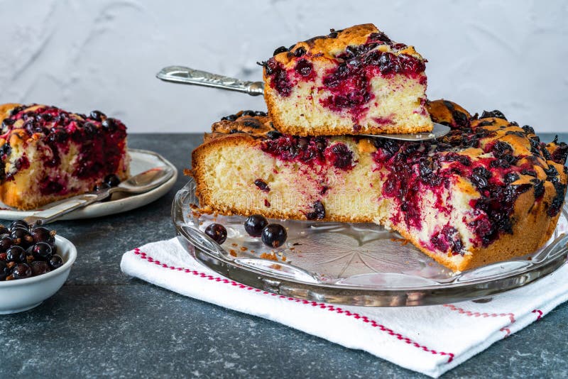 Black currant drizzle cake stock image. Image of cooking - 225922697