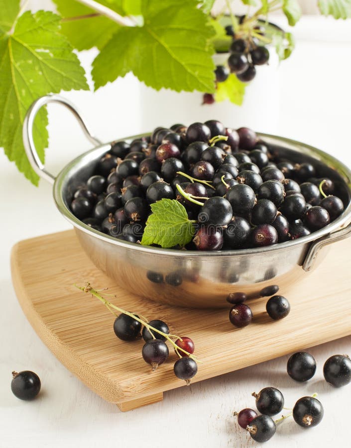 Black currant stock photo. Image of green, healthy, organic - 44224880
