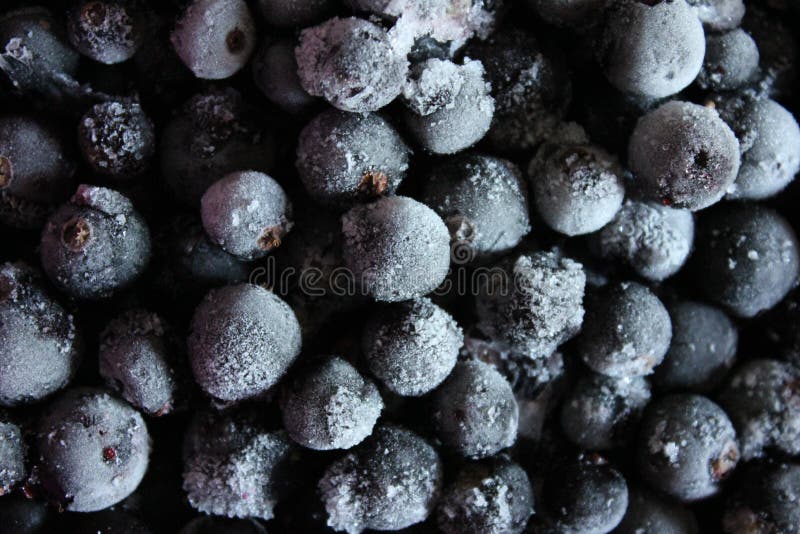 Black currant frozen stock photo. Image of frozen, condition - 119199914