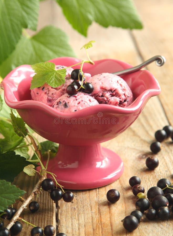 Black currant ice cream. stock image. Image of black - 32553851