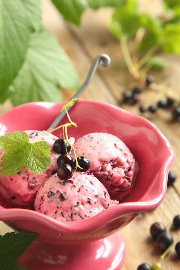 Black currant ice cream. stock image. Image of gourmet - 32553895