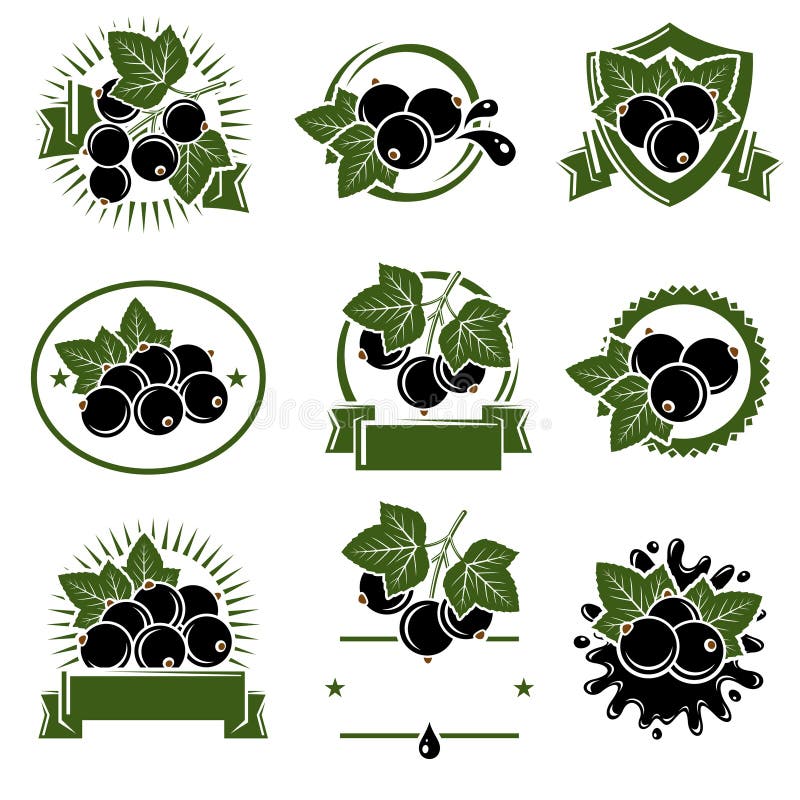 Black Currant Label and Icons Set. Icon Black Currant Stock Vector ...