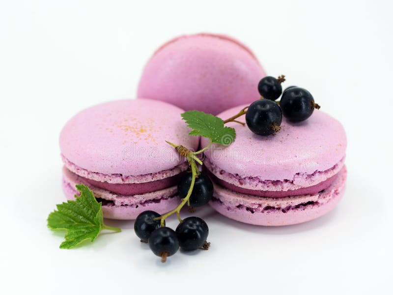 Black Currant Macarons with Fresh Berries and Leaves of a Currant Stock ...