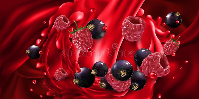 Black Currant and Raspberry in Red Fruit Juice. Stock Vector ...