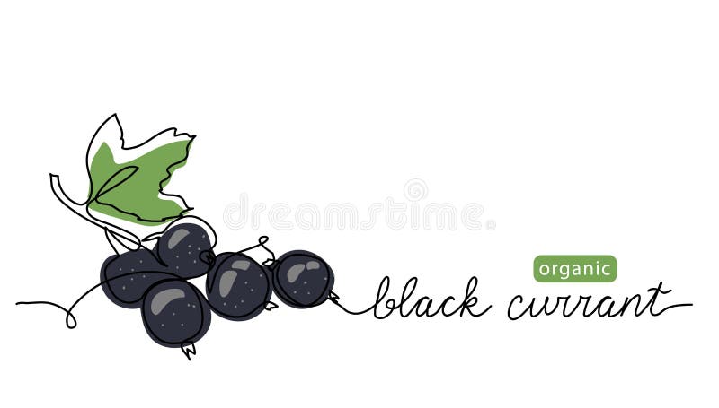 Blackcurrant Drawing Stock Illustrations – 659 Blackcurrant Drawing ...