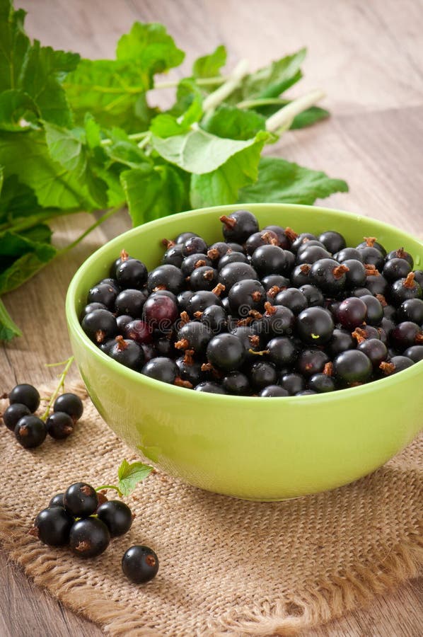 Red currants in the garden stock photo. Image of freshness - 27638522