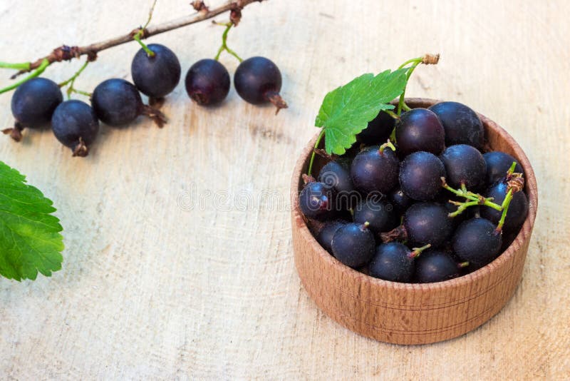 Black Currants in the Bowl on a Wooden Stump Stock Photo - Image of ...