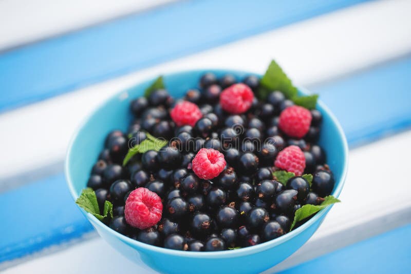 Black Currants and Raspberries Stock Photo - Image of berry, nature ...