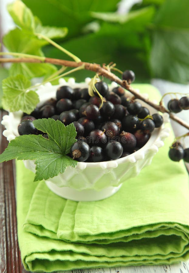 Black current in bowl stock photo. Image of freshness - 32553638