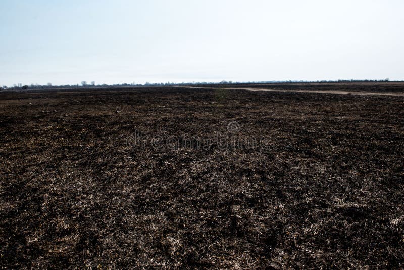 Black dead burned field stock photo. Image of nature - 141646514
