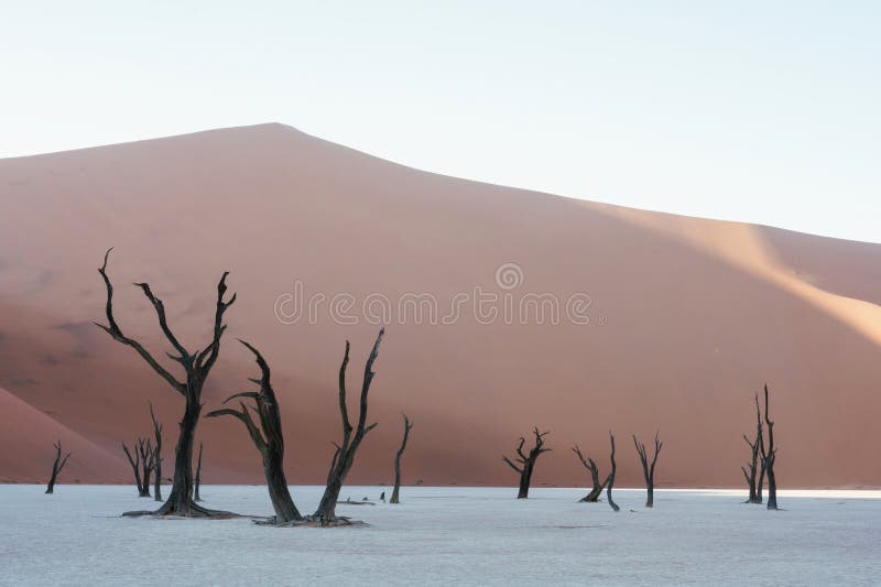 Black and Dead Trees. Sossusvlei, Famous Sand Dunes and Dead Trees in ...