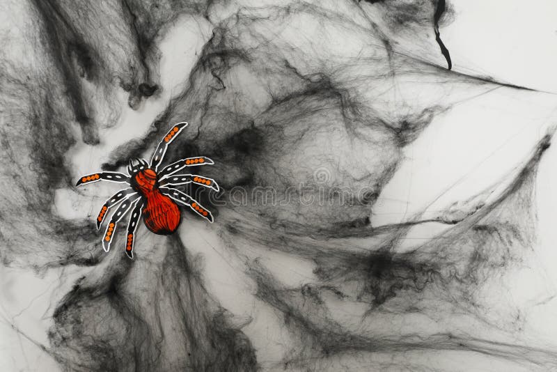Black Decorative Cobweb with Spider on White Wall. Halloween Decor ...