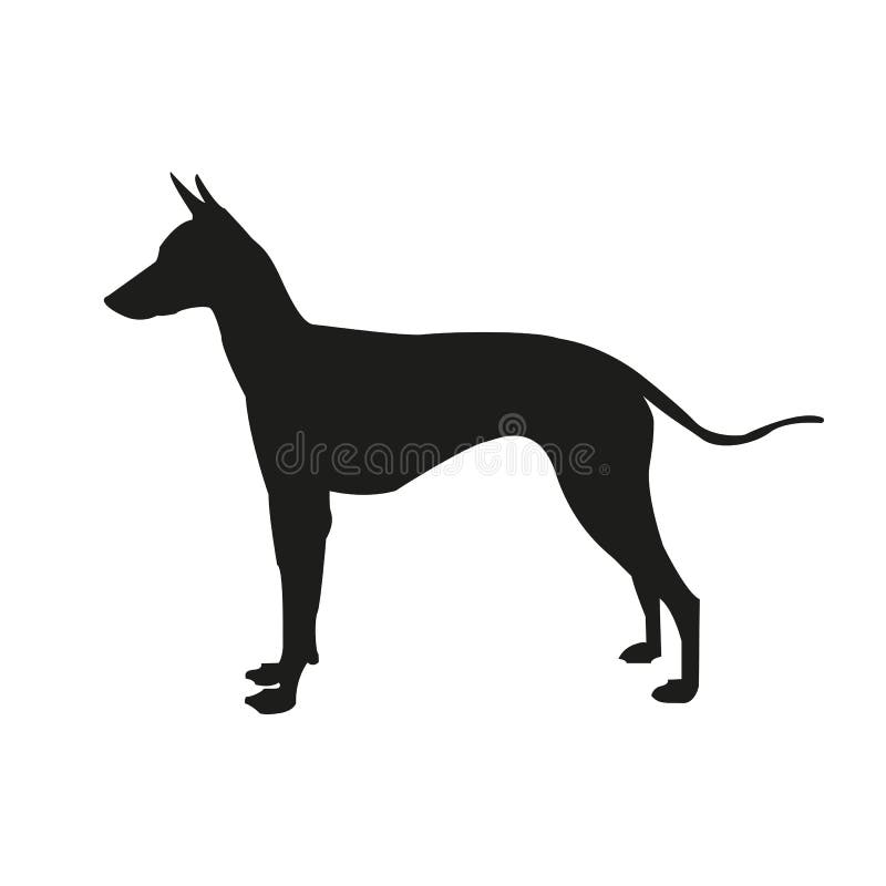 Black Dog vector stock vector. Illustration of profile - 129207617