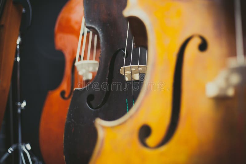 Black Double Bass Bridge and String Selective Focused Stock Photo ...