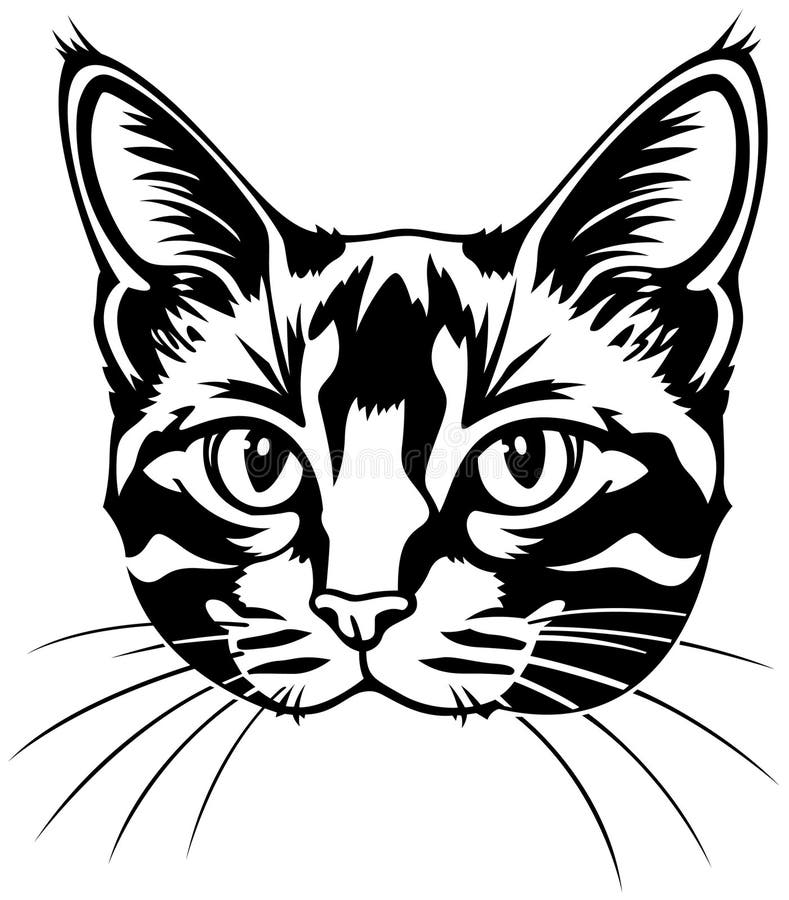 Black Drawing of Cats Head stock vector. Illustration of outline ...