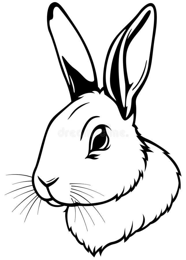Black Drawing of Rabbit Head Stock Vector - Illustration of contour ...