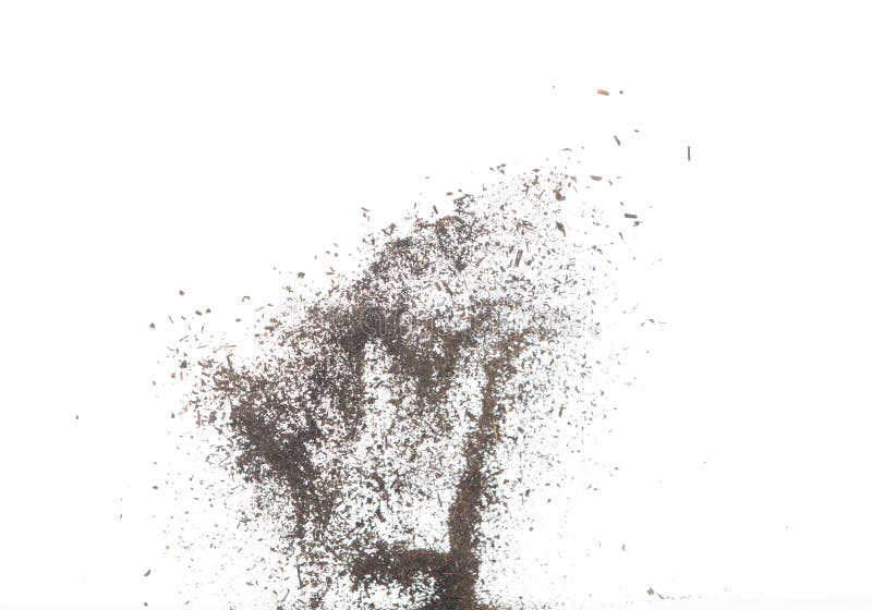 Black Dried Leave Tea Explode. Small Fine Size Tea Leaf Flying ...