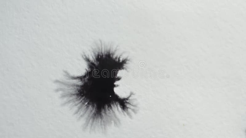 A Black Drop Falls on a White Sheet of Paper and Spreads on it ...