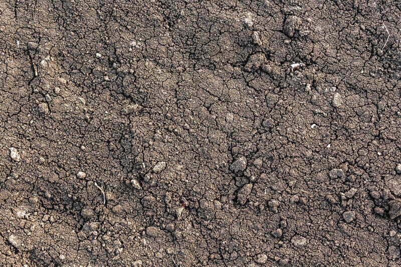 Black earth texture stock photo. Image of agriculture - 51289328