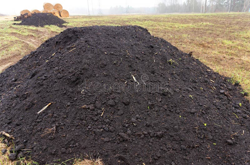 Black Earth Texture, Humus, Fertile Soil. Background Stock Image ...