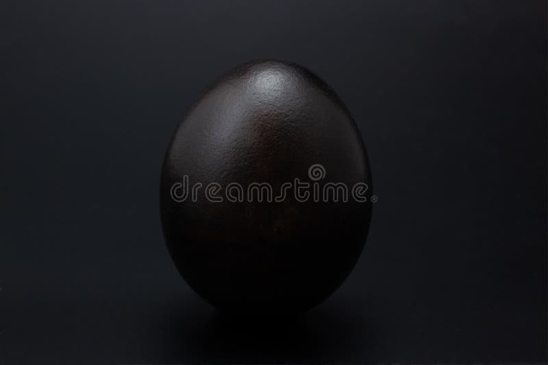Black Egg on a Black Background Stock Image - Image of alone, black ...