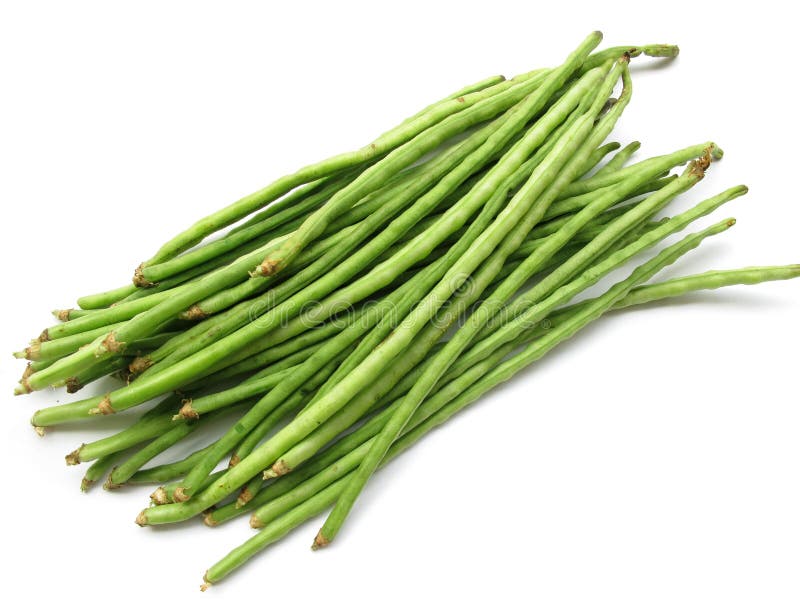 Cut Small and Slender Green Beans (haricot Vert) Stock Photo - Image of ...