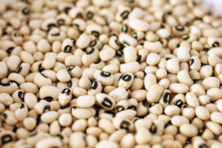Black eye peas stock photo. Image of black, plenty, cook - 9292622