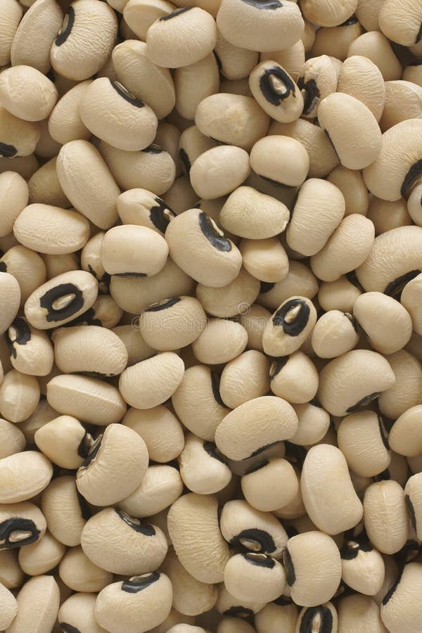 Black eye peas stock photo. Image of black, ingredient - 30768812